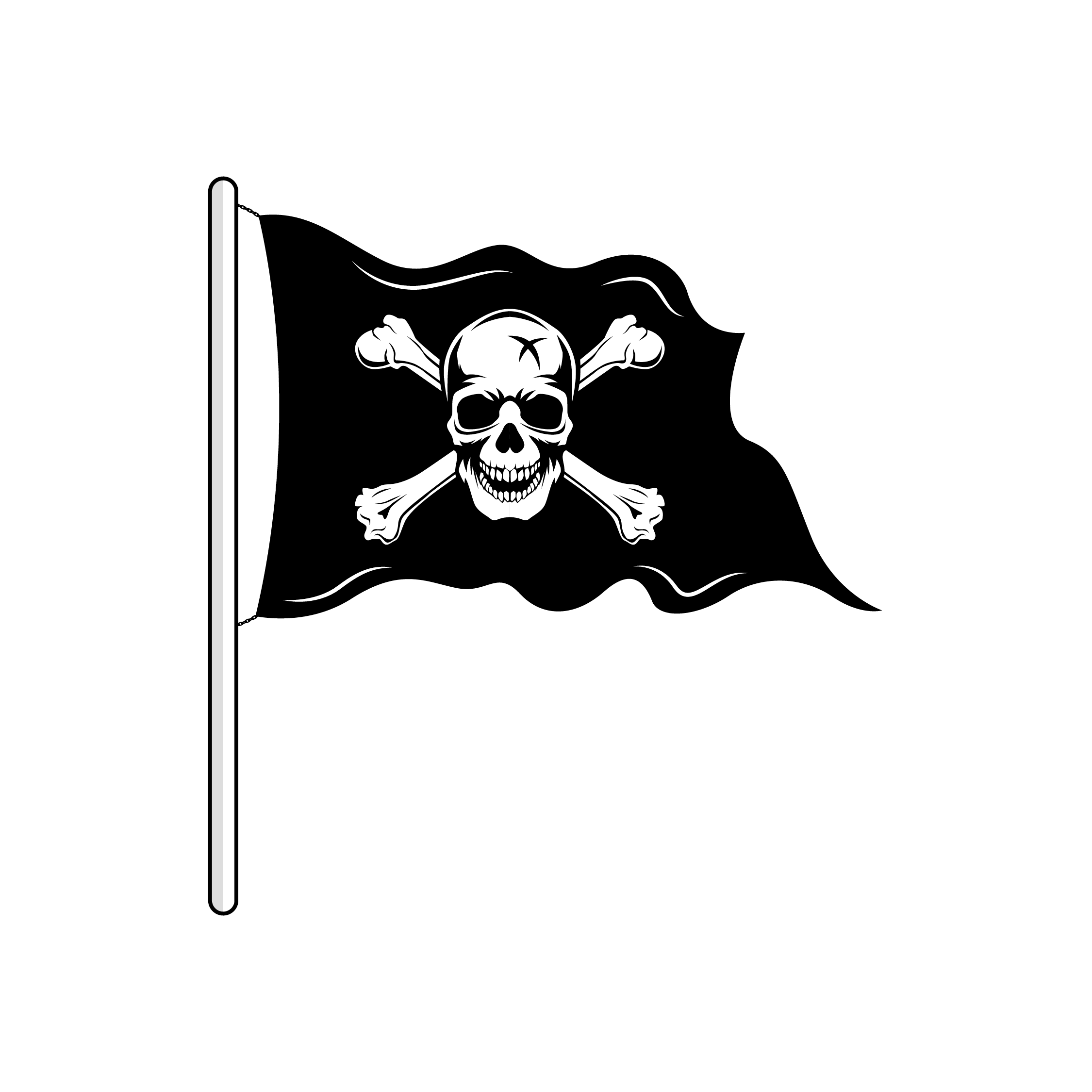 Skull Identity Flag